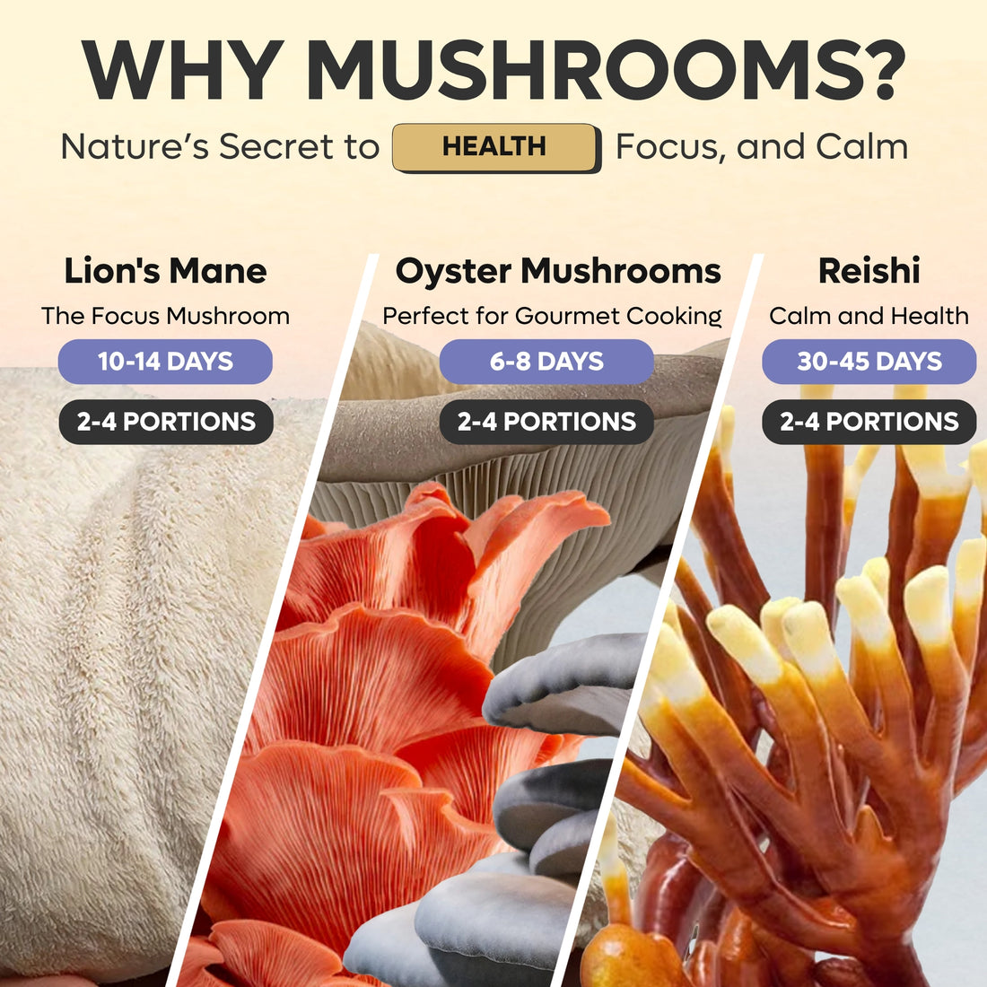 Sproushi - Smart Mushroom Machine