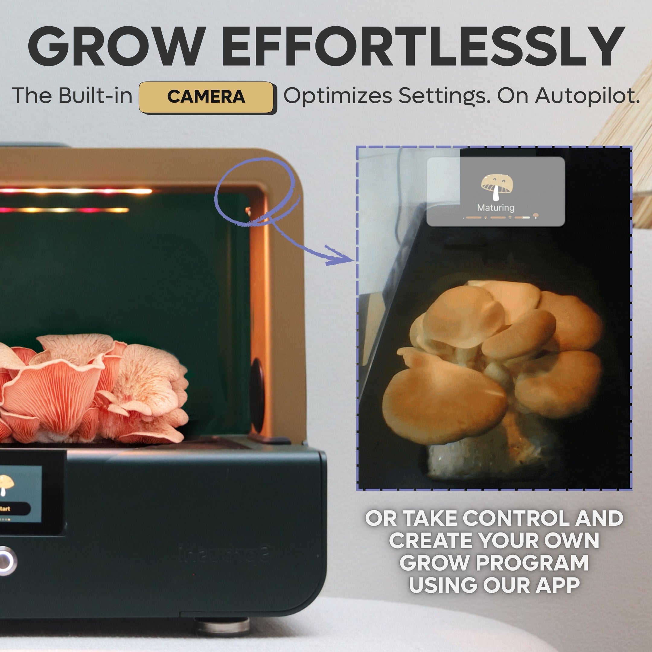 Sproushi - Smart Mushroom Machine